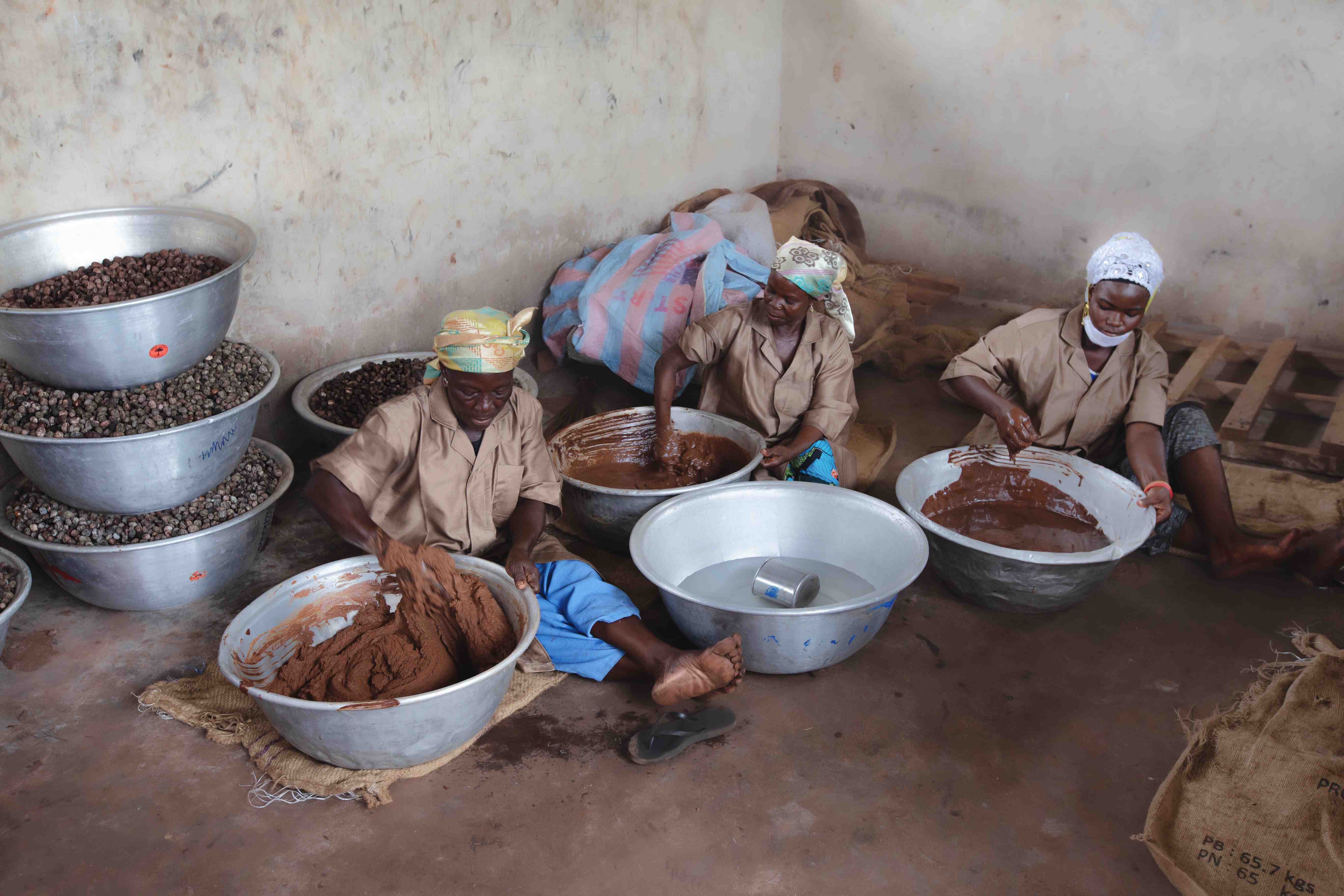 Tiyumtaba Cooperative - Savannah Fruits | Hand-crafted Shea butter ...
